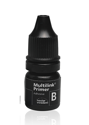 Multilink Primer B